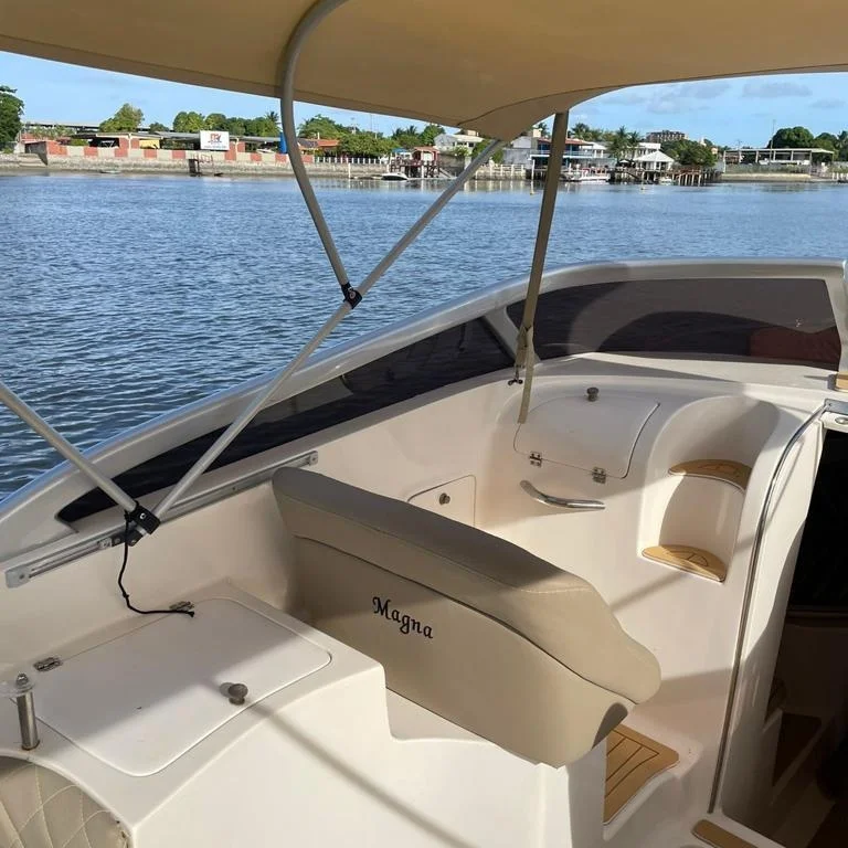 Magna 260